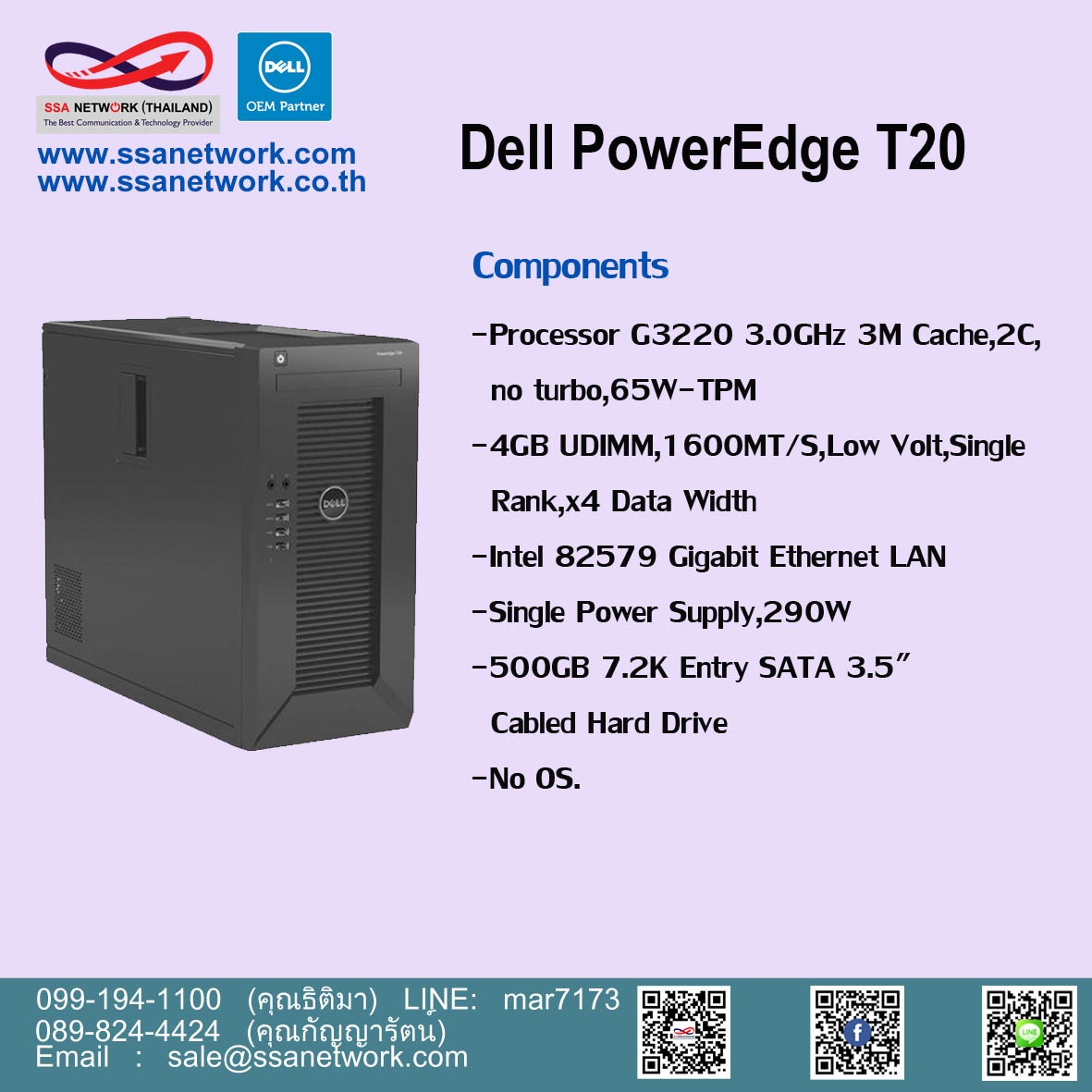poweredge-t20-ssanetwork-4 >